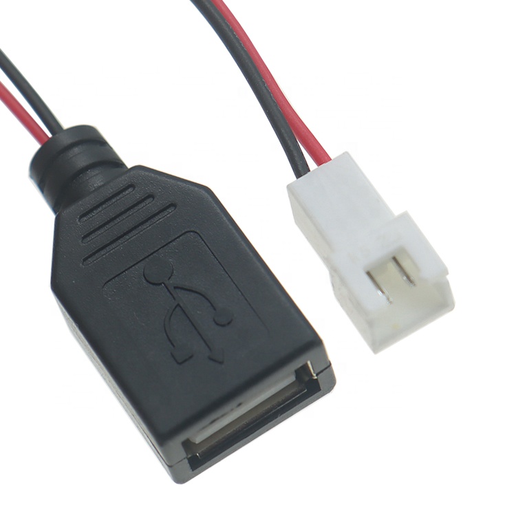 CAB-USBAF-XH2M USB-A Female to JST-XH 2-Pin Male 20 cm Cable